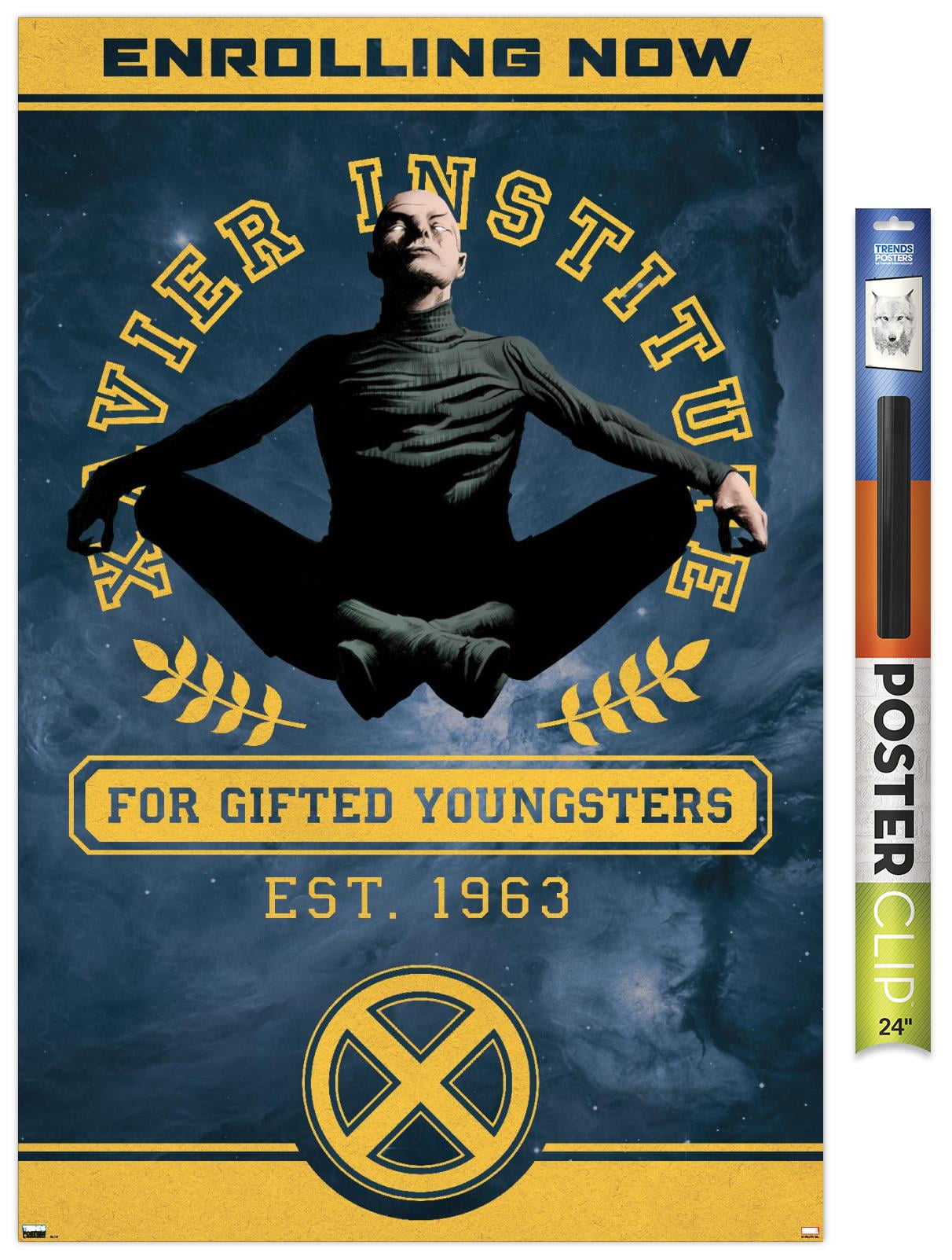 Marvel Comics - The X-Men - XaVier Institute Wall Poster, 22.375" x 34 ...