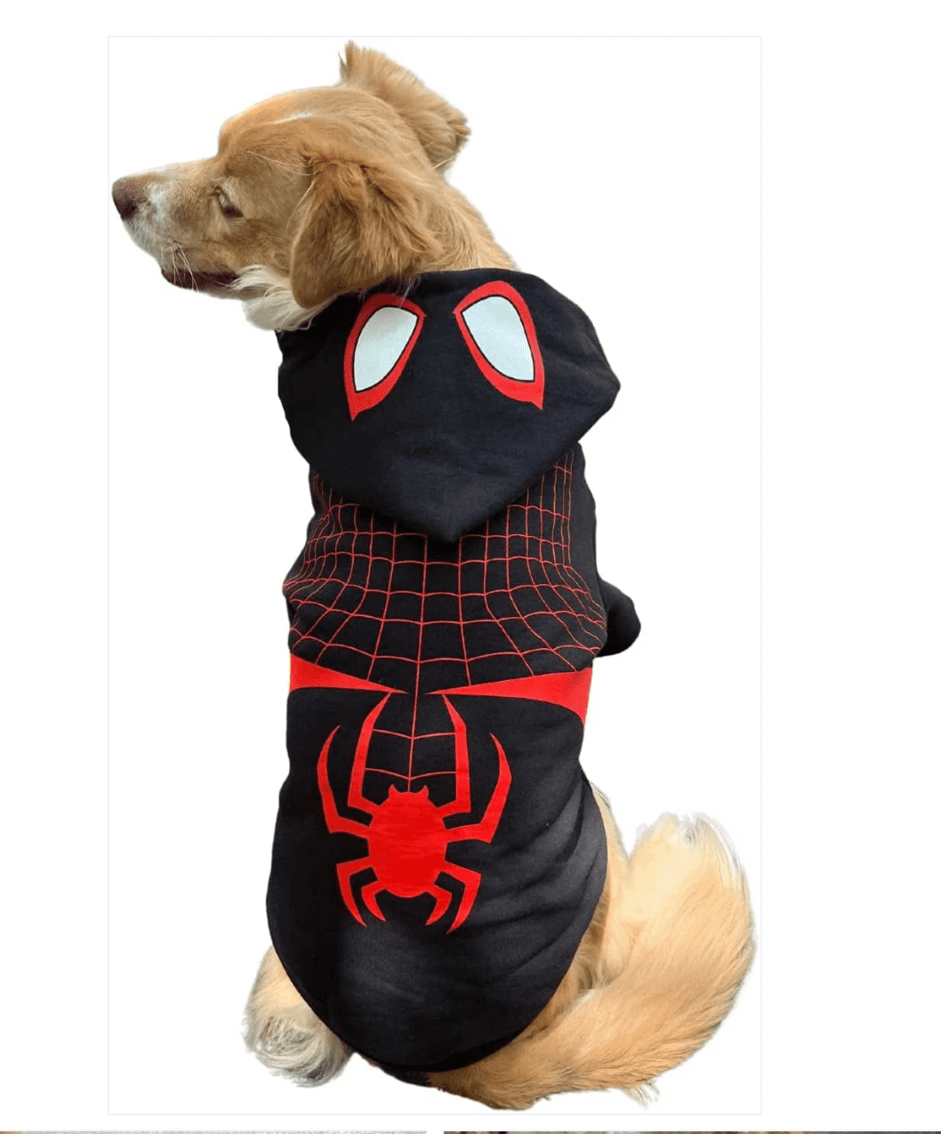 Marvel Dog Spiderman Black and Red Hoodie Sz Med - Walmart.com