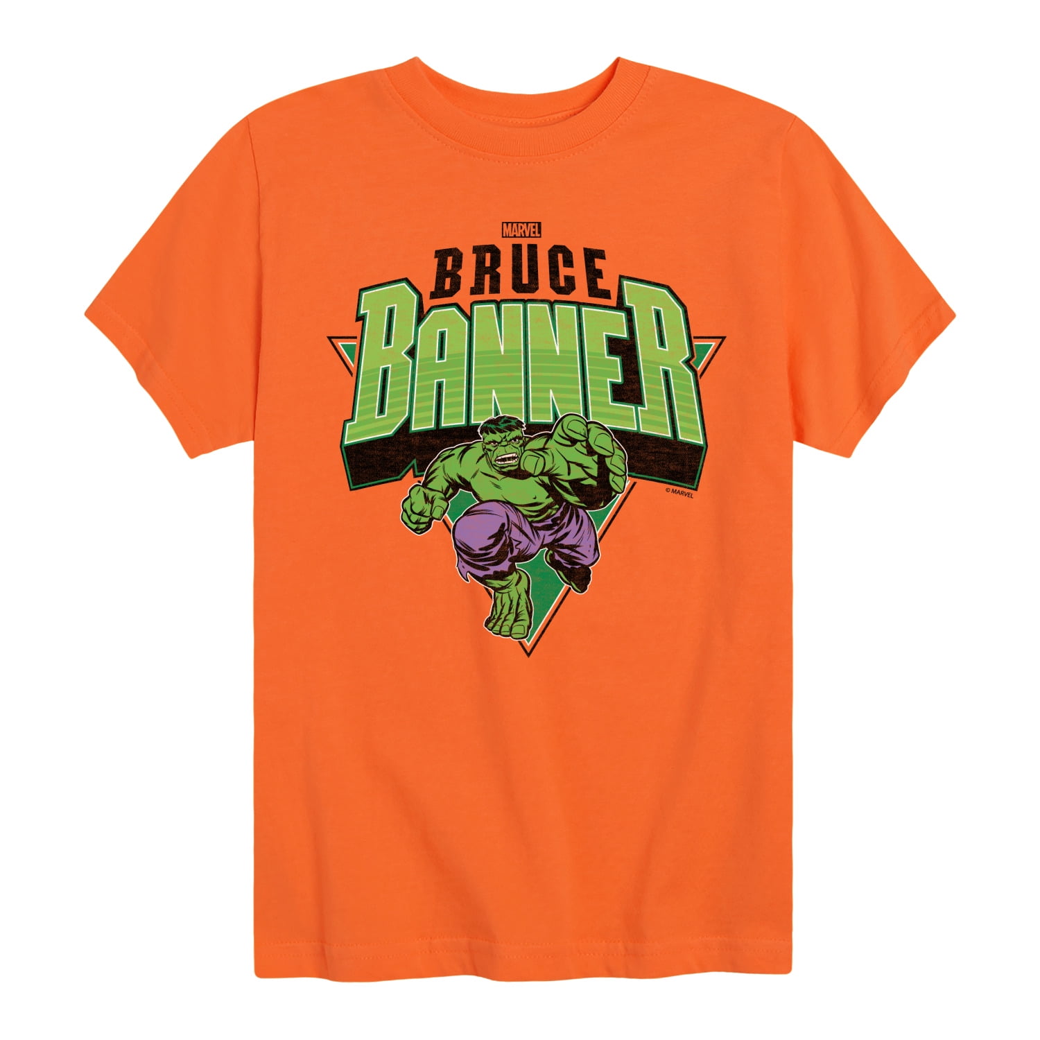 Marvel Hulk - Bruce Banner - Toddler And Youth Short Sleeve Graphic T ...
