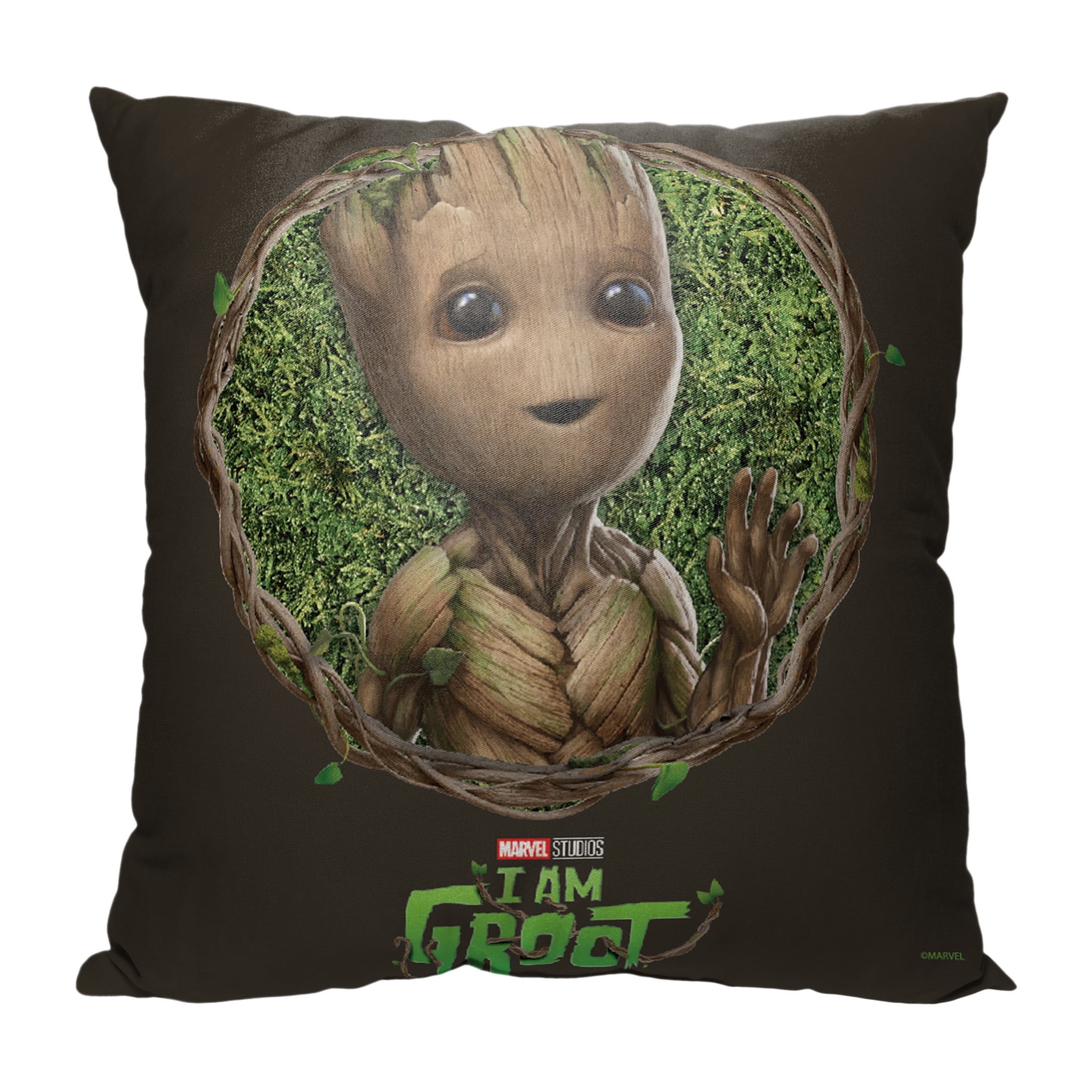 Marvel I Am Groot Groot Frame Kids Printed Throw Pillow, 18 x 18 inches ...
