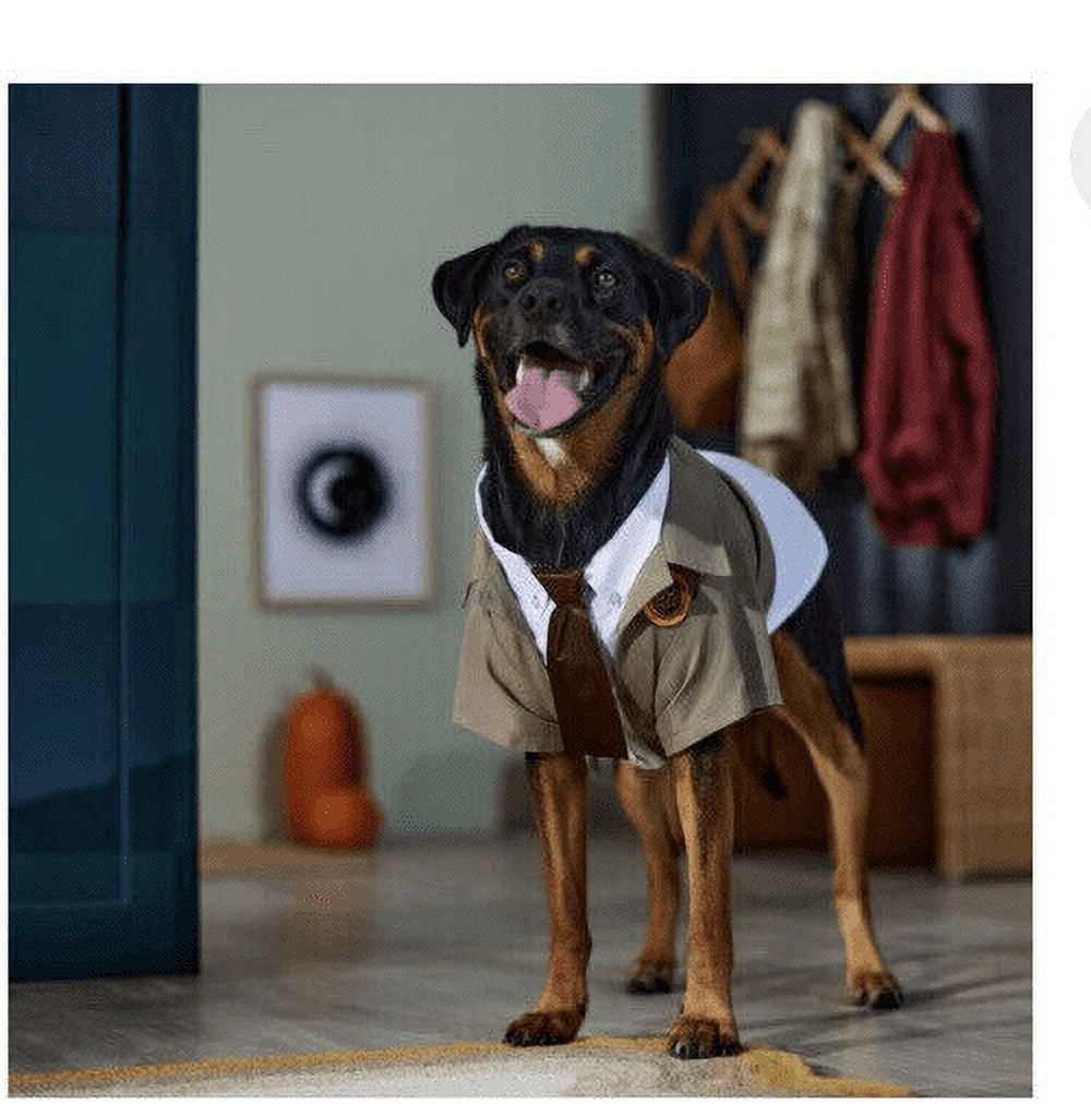 Quaker Marvel Loki Variant Dog One-Piece Costume, XL - Walmart.com