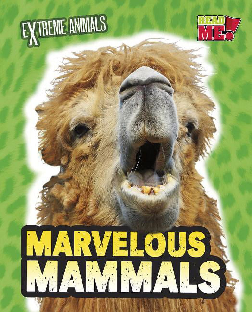 Extreme Animals: Marvelous Mammals (Paperback) - Walmart.com