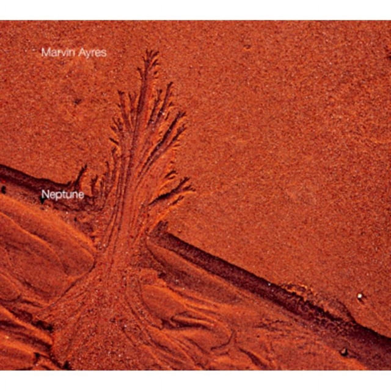 Marvin Ayres - Neptune - Music & Performance - CD - Walmart.com