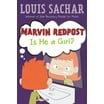 Marvin Redpost #5: Class President (Paperback) - Walmart.com