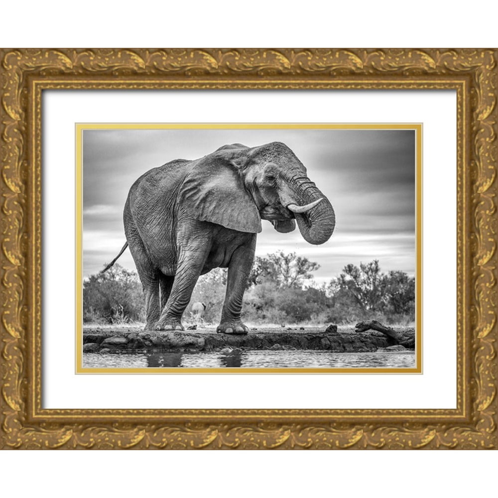 Marx, Jaco 14x11 Gold Ornate Wood Framed with Double Matting Museum Art ...