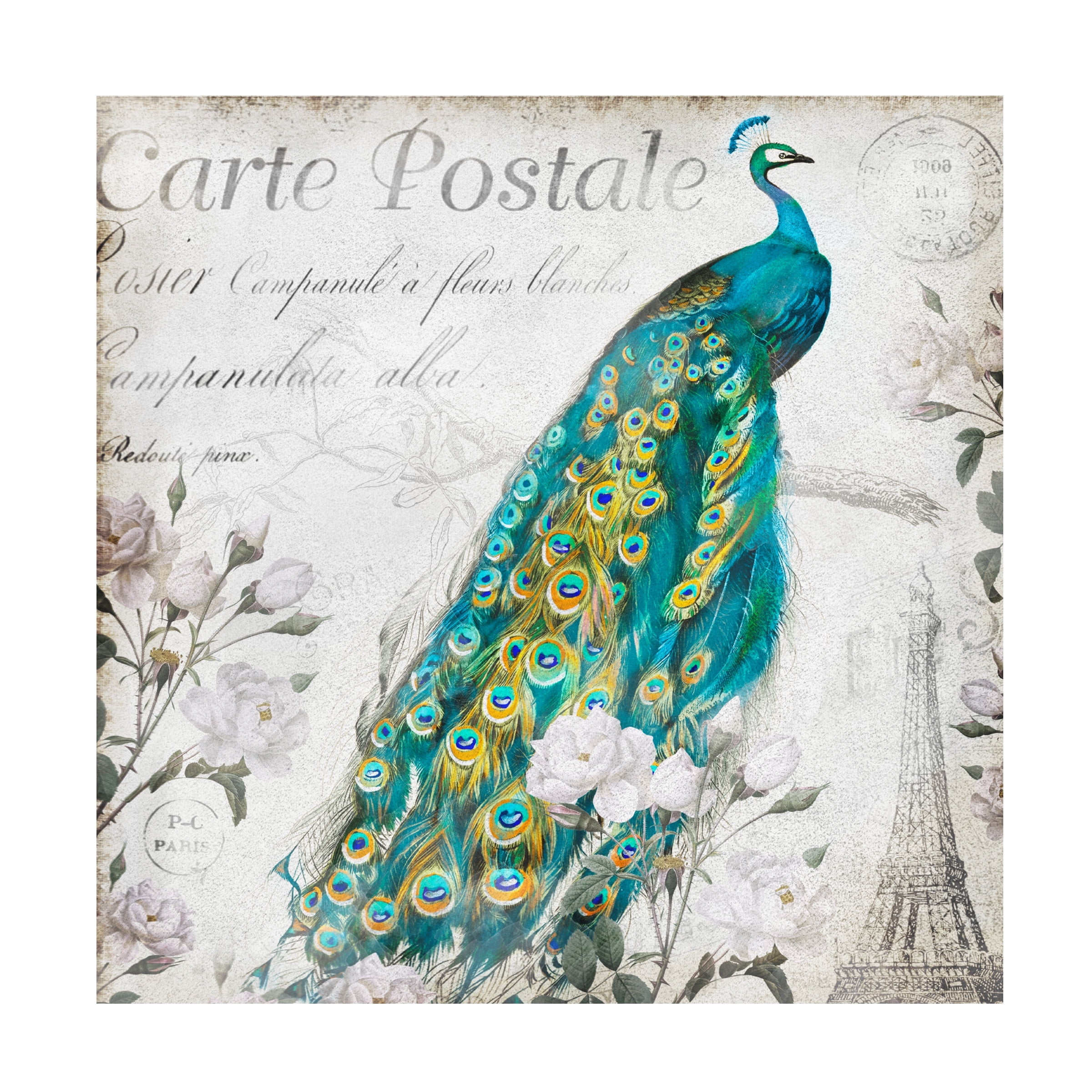 Mary Jane Creative 'Peacock Rose ' Canvas Art - Walmart.com
