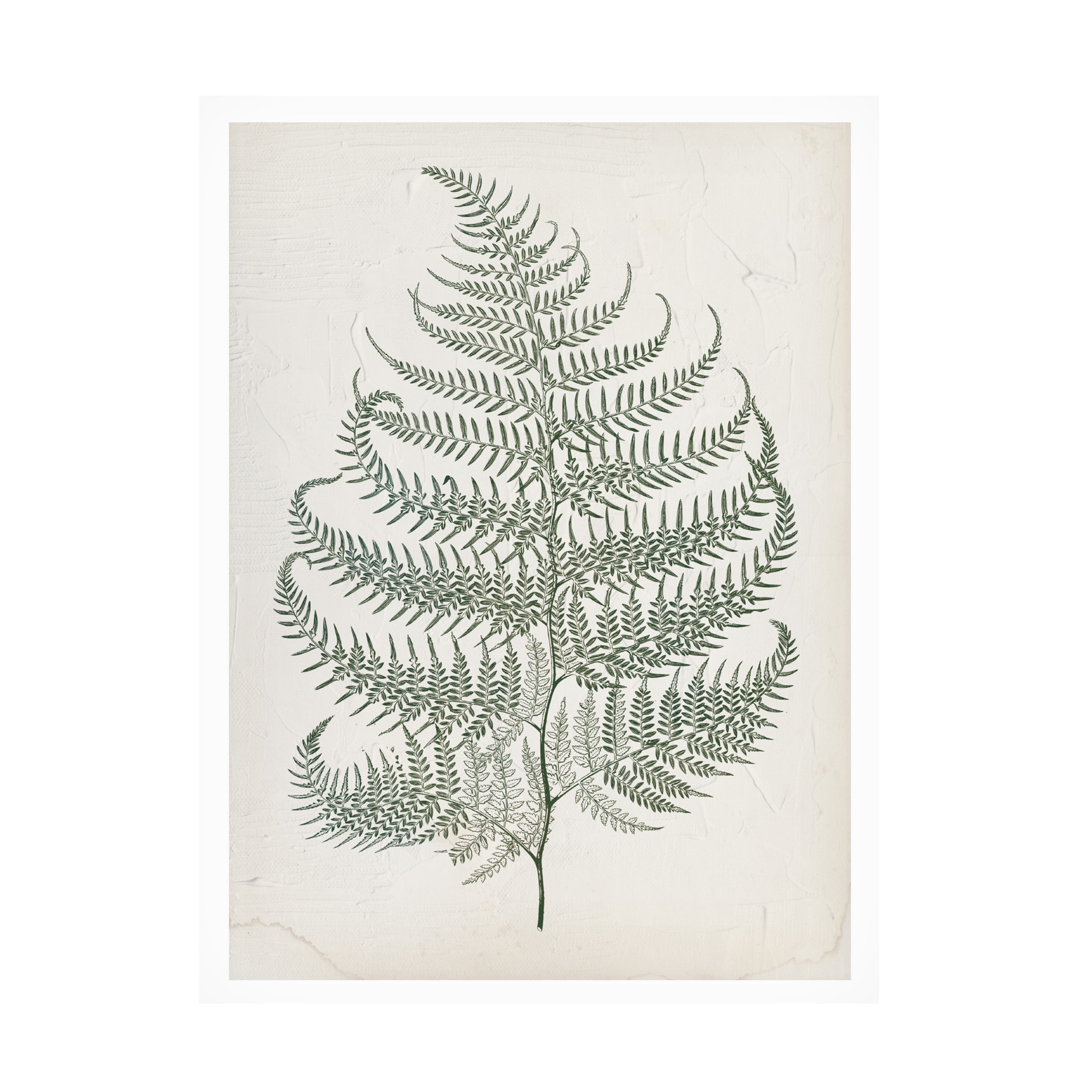 Mary Jane Creative 'Vintage Fern 2' Canvas Art - Walmart.com