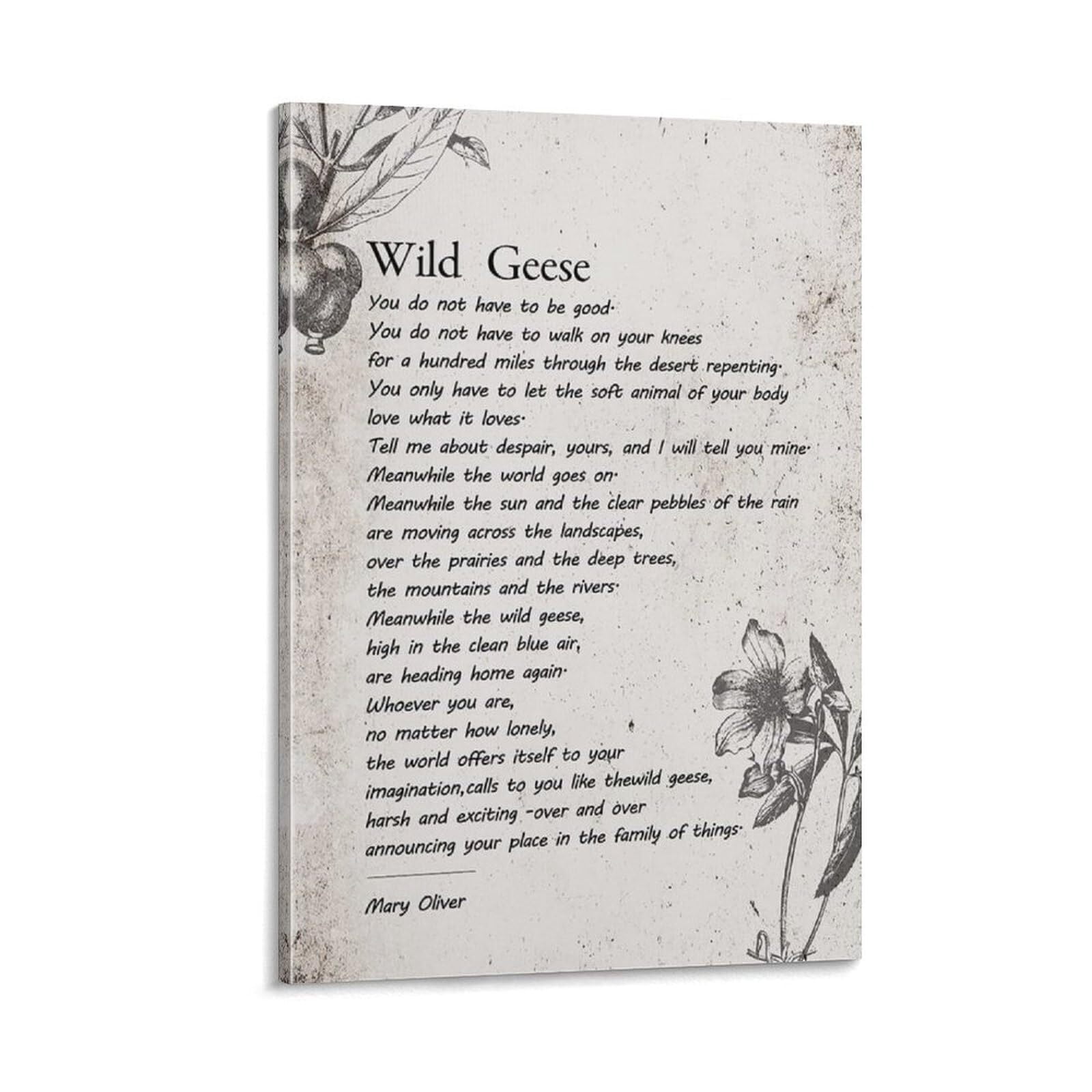 Mary Oliver Poetry Gift Poster 2 Canvas Wall Art Print For Room ...