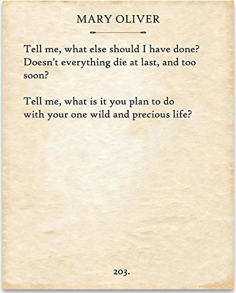 Mary Oliver - The Summer Day. - 11x14 Unframed Typography Book Page ...