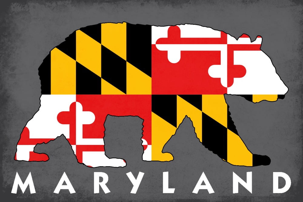 Maryland, Bear Flag (24x36 Giclee Gallery Art Print, Vivid Textured ...