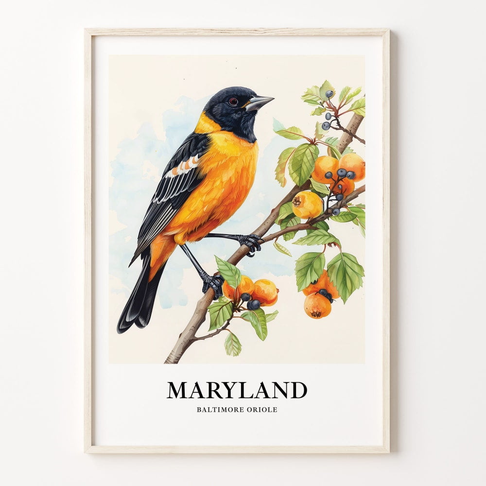 Maryland State Bird Art Print, Maryland State Flower Art, Maryland Wall ...