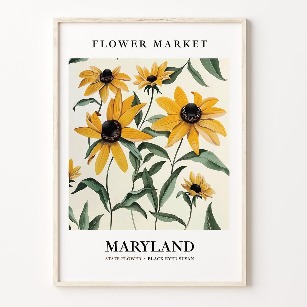 Maryland State Flower Art Print, Black Eyed Susan, 1960'S Wall Art ...