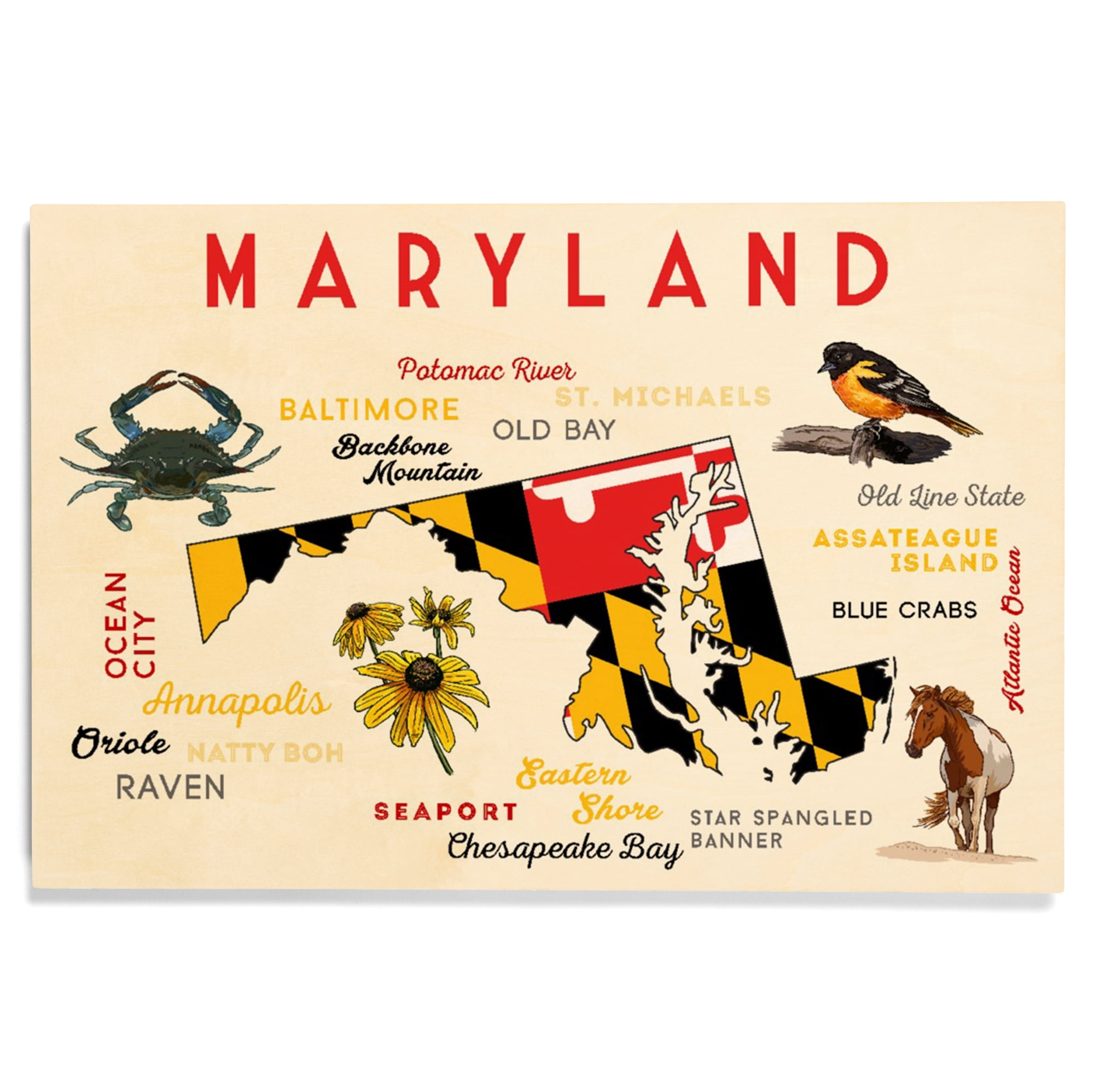 Maryland, Typography and Icons with Black Eyed Susans Birch Wood Wall ...