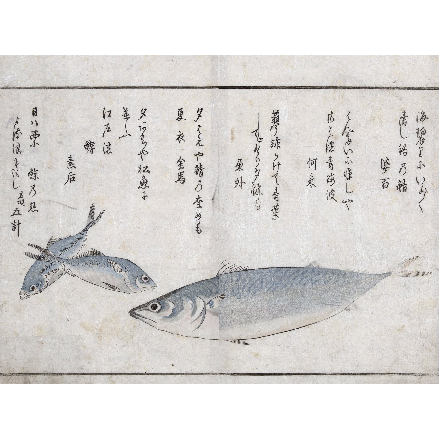 Masayoshi Three Fish Japanese Sea Animals Painting Extra Large XL Wall ...