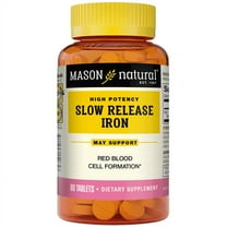 21 Century HealthCare 21st Century High Potency Slow Release Iron ...