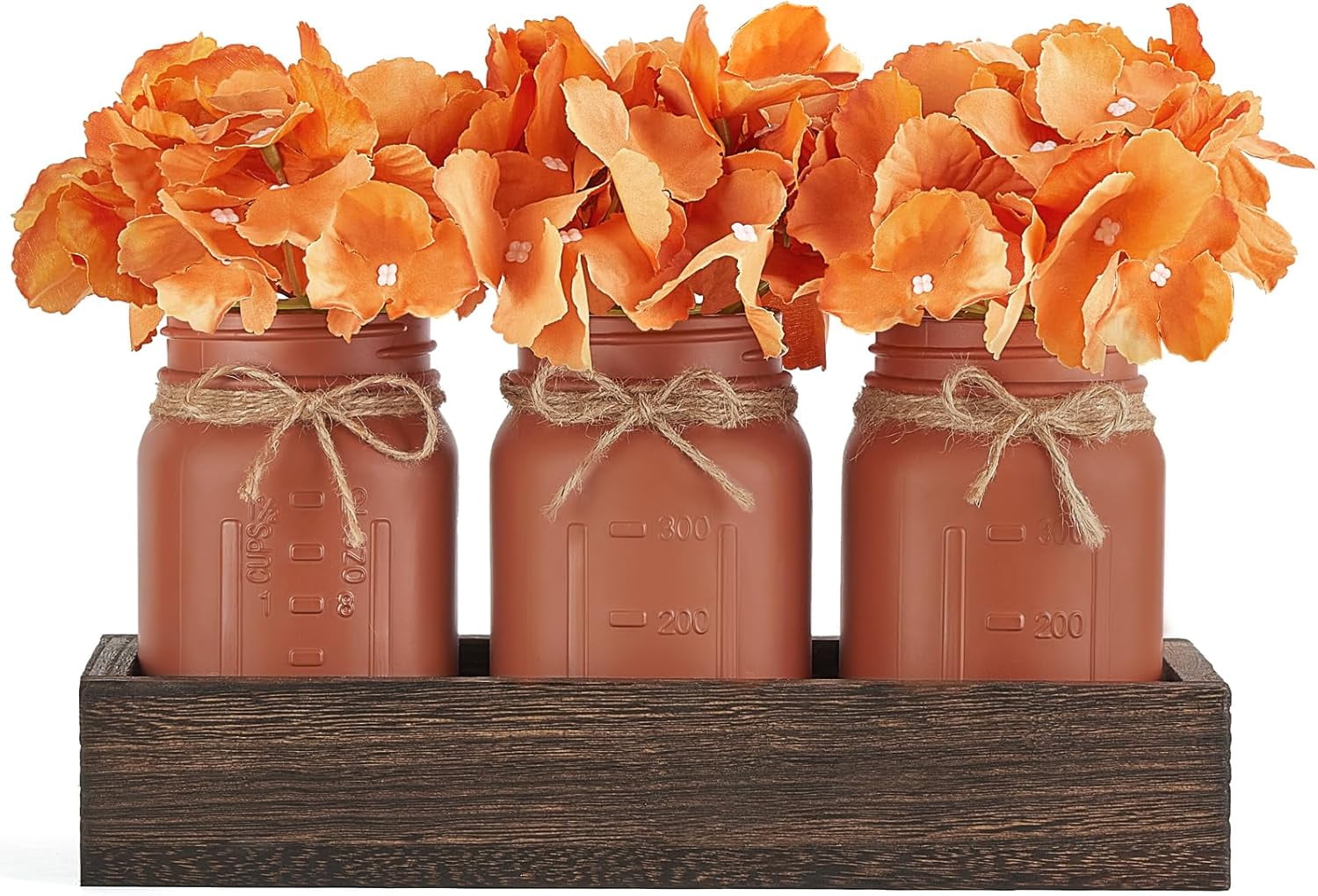 Mason Jar Centerpiece Decorative Wood Tray with 3 Painted Jars ...