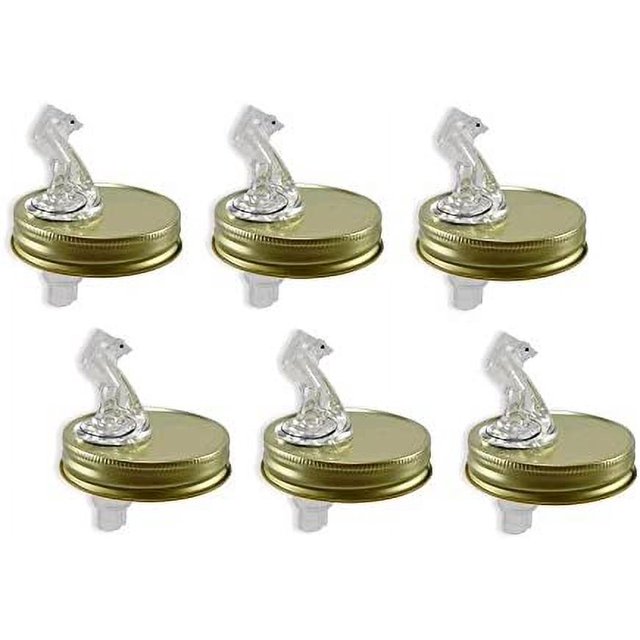 Mason Jar Pouring Spout Regular Jar Size 6 Pack - Walmart.com
