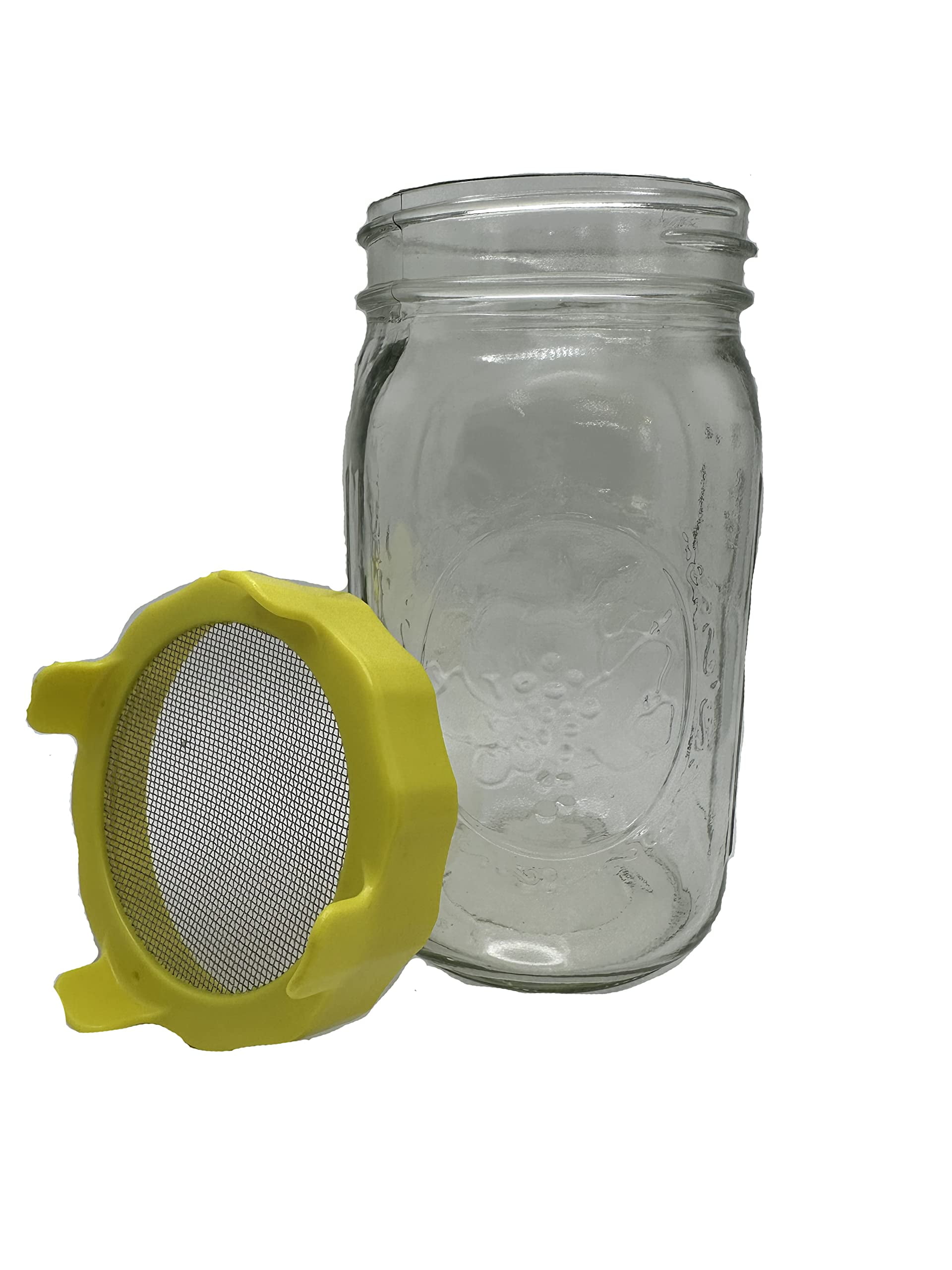 Mason Jar with Screen Lid - Glass Jar for Planting Microgreens (2 ...