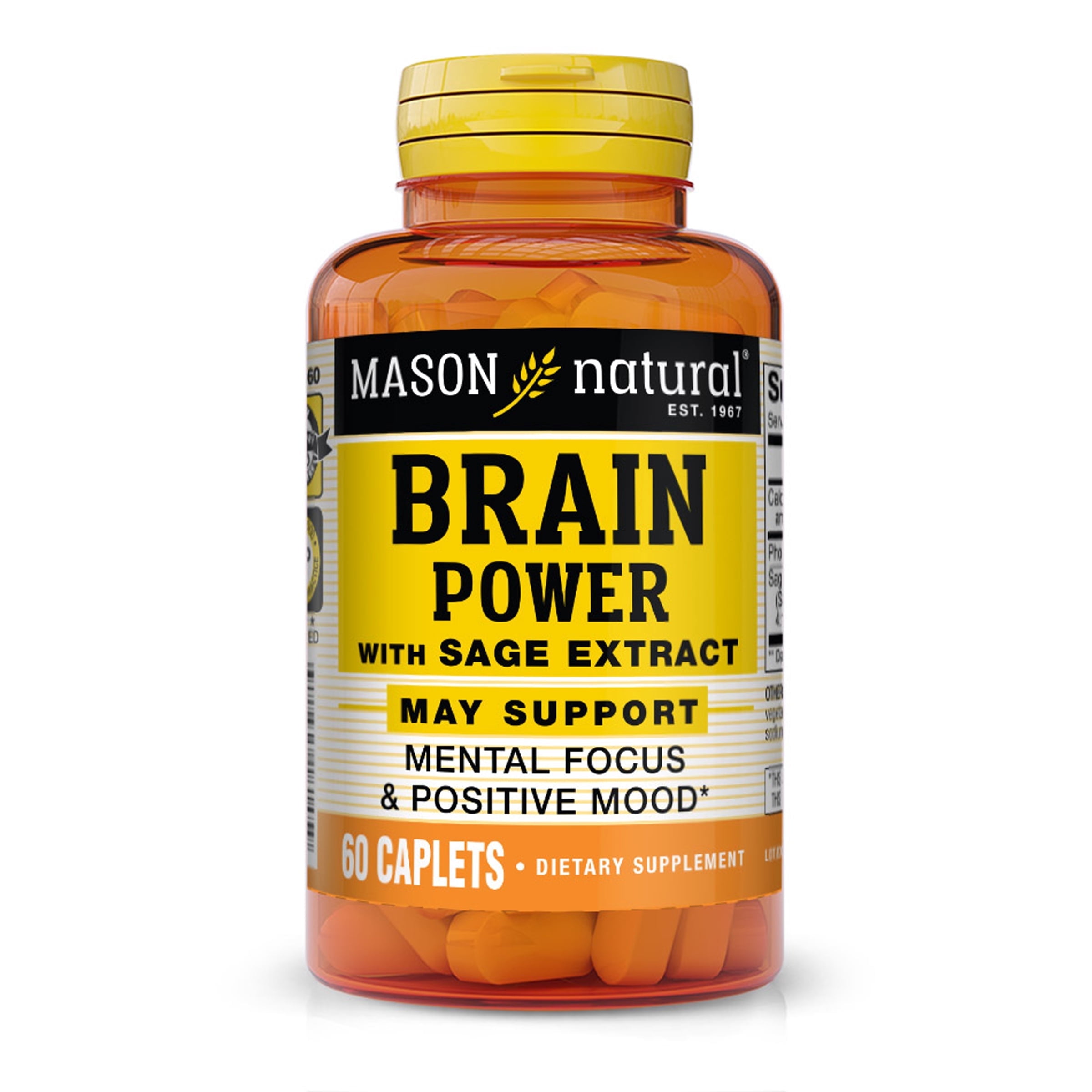 Mason Natural Brain Power with Sage Extract, Focus and Positive Mood ...