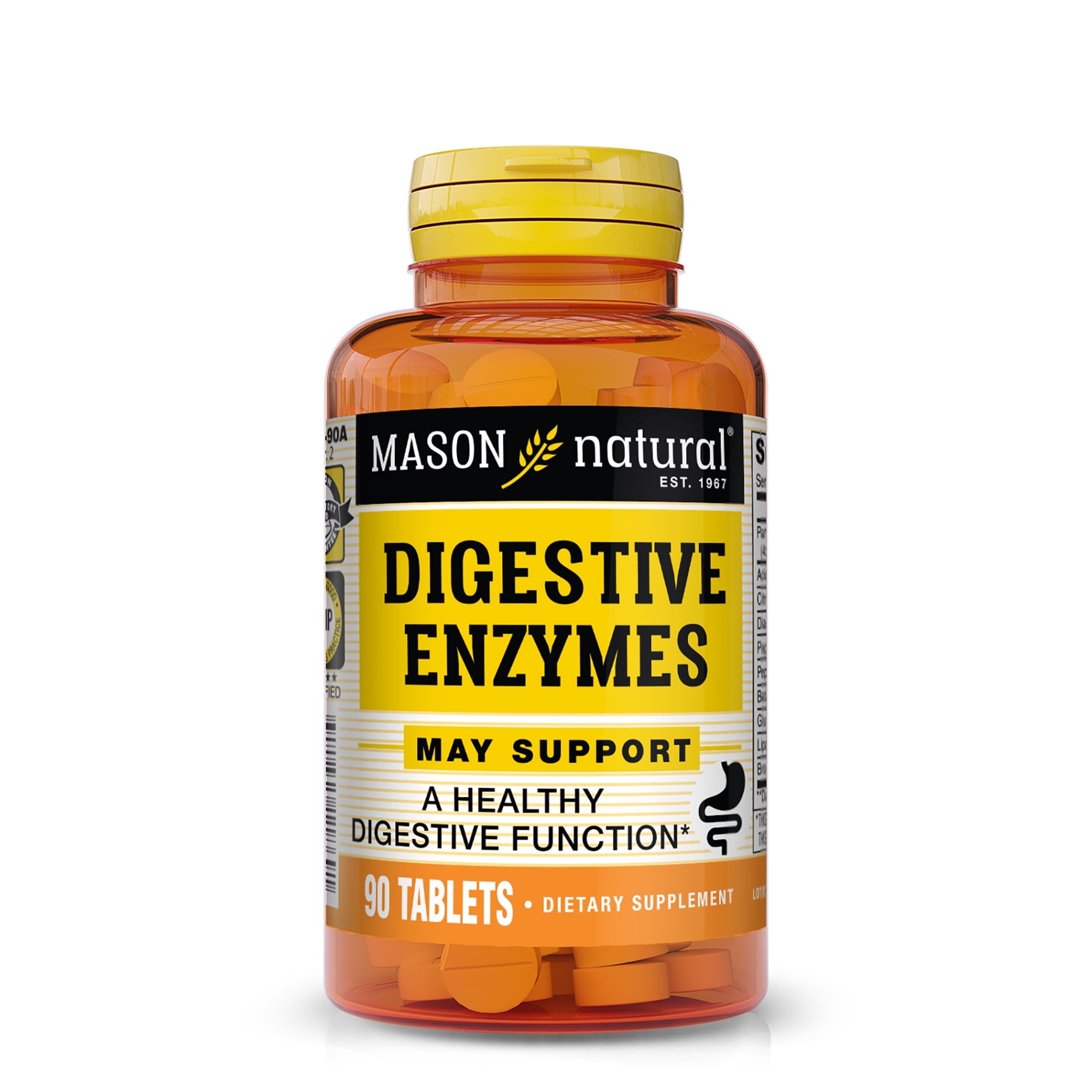 Mason Natural Probiotic Digestive Enzymes Supplement - Improved Gut ...