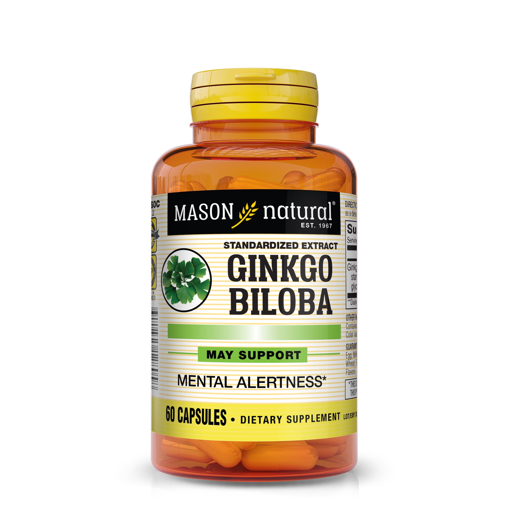 Mason Natural Ginkgo Biloba Boost Alertness, Brain Function 60 Capsules ...