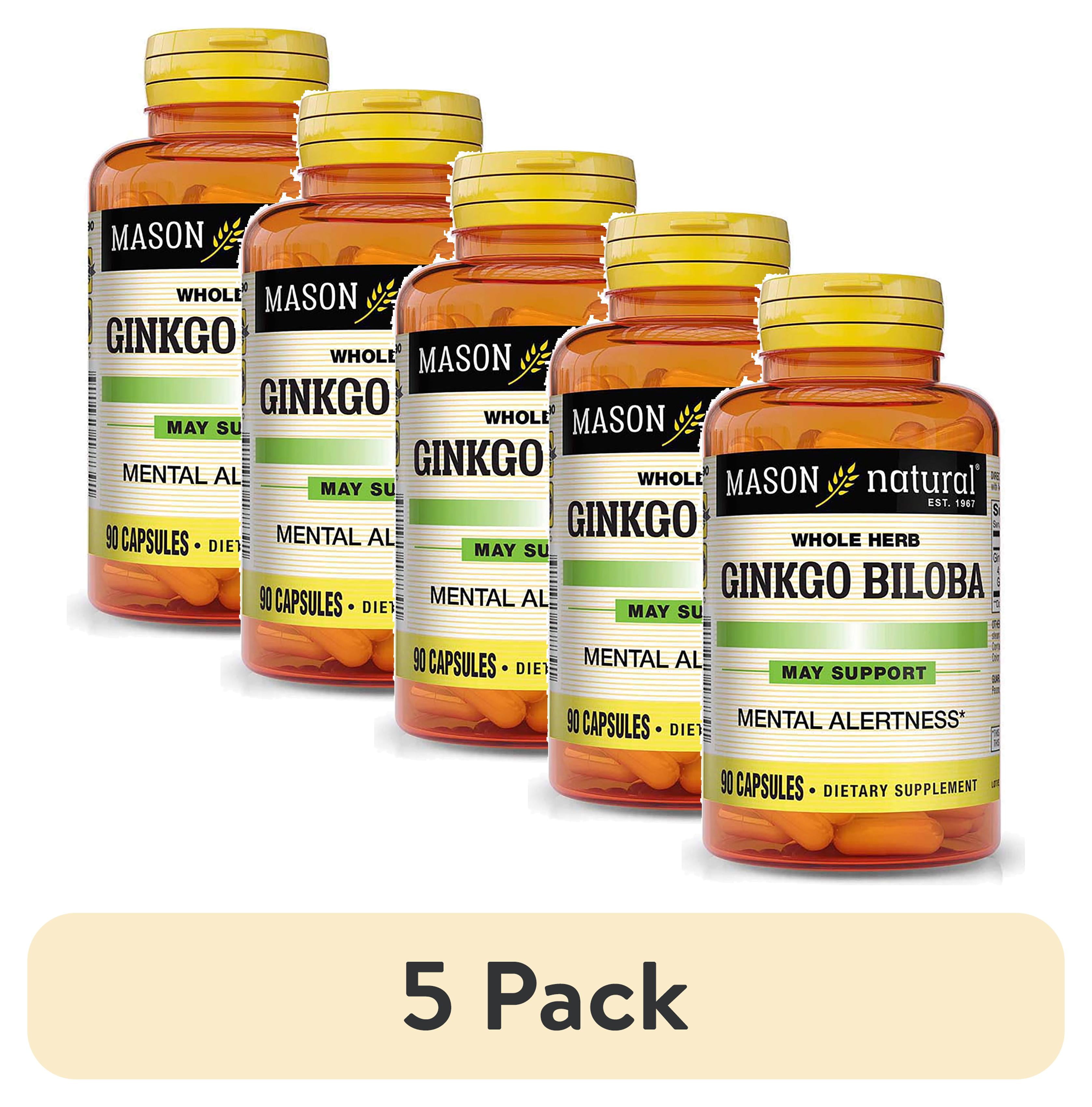 (5 pack) Mason Natural Ginkgo Biloba - Improve Mental Alertness ...
