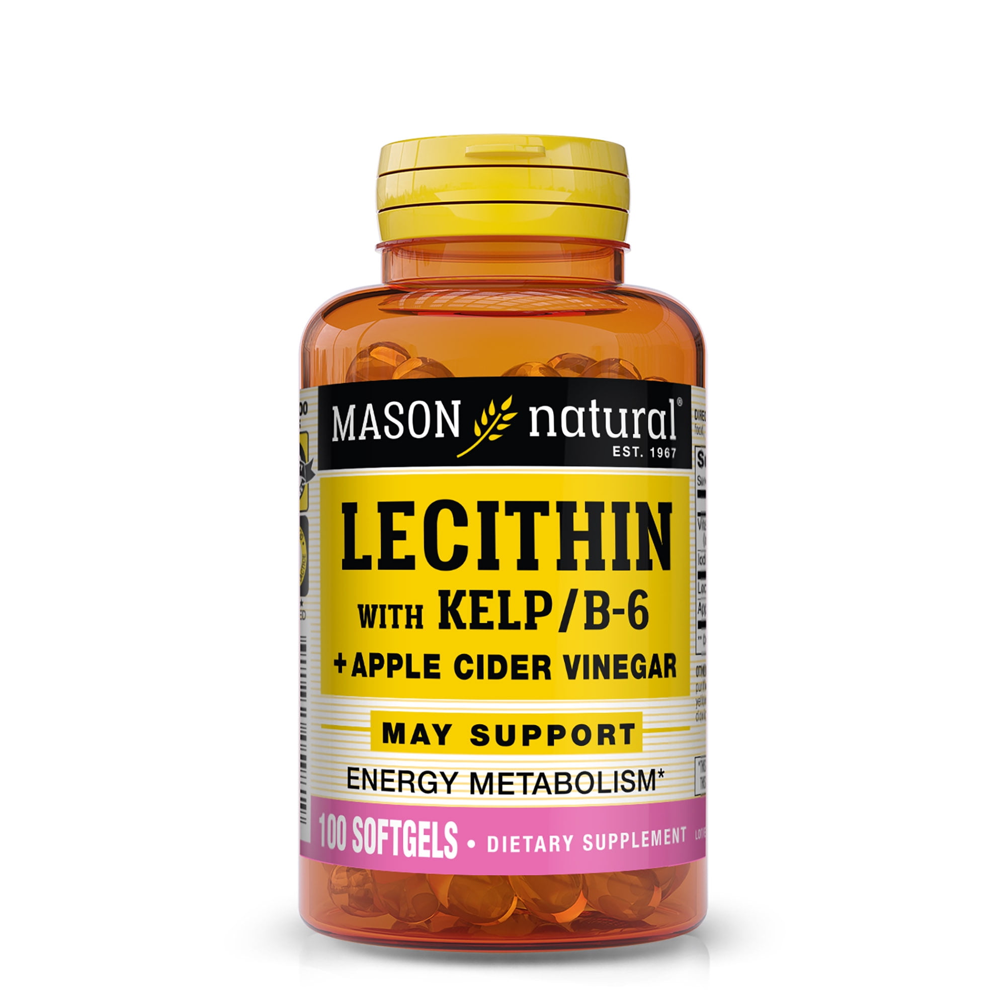 Mason Natural Lecithin with Kelp/Vitamin B6 plus Apple Cider Vinegar ...
