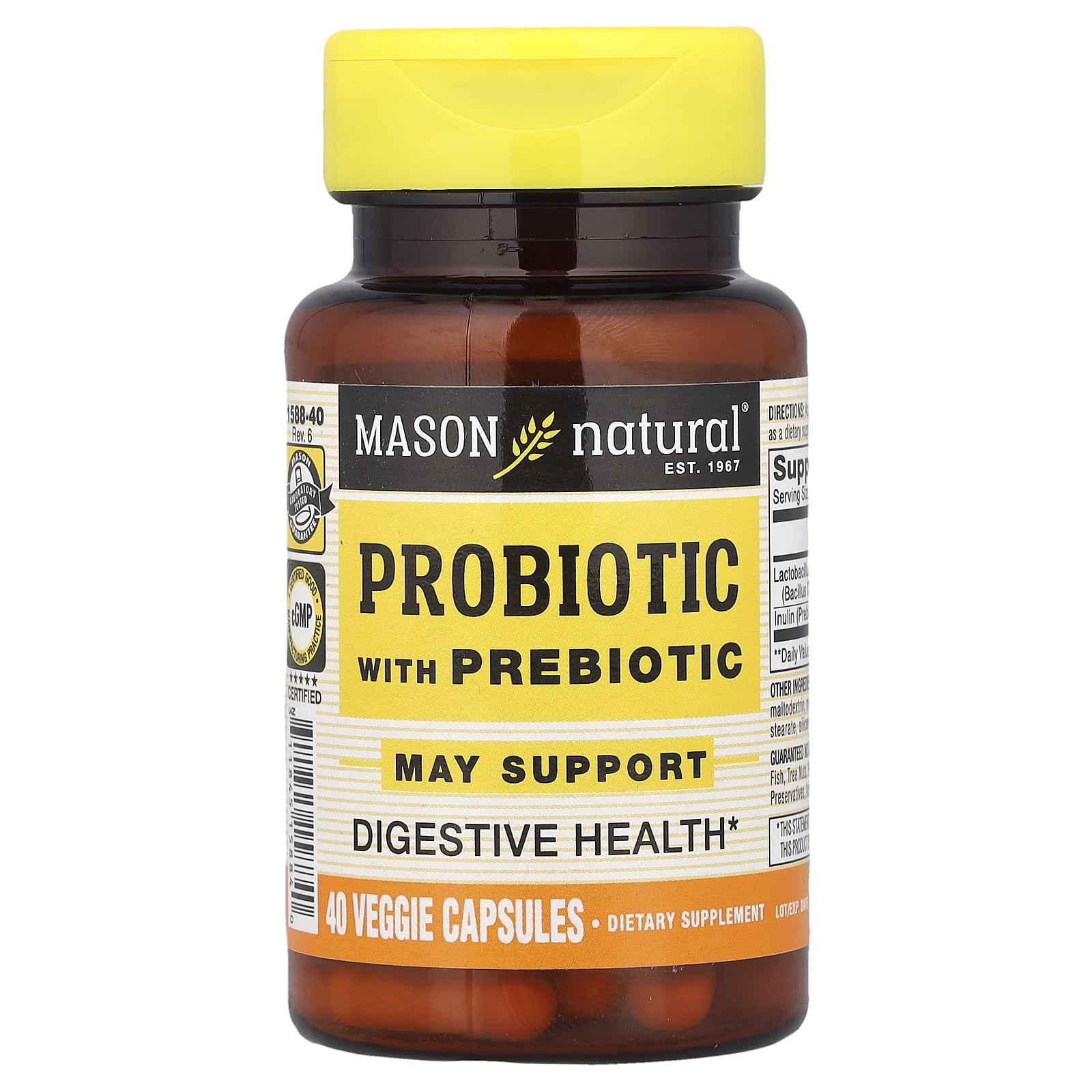 Mason Natural Active Strain Probiotic with Prebiotic for Everyday Gut ...