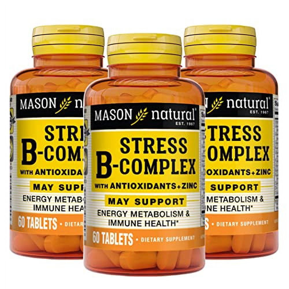 Mason Natural Stress B-Complex with Antioxidants + Zinc - Healthy ...