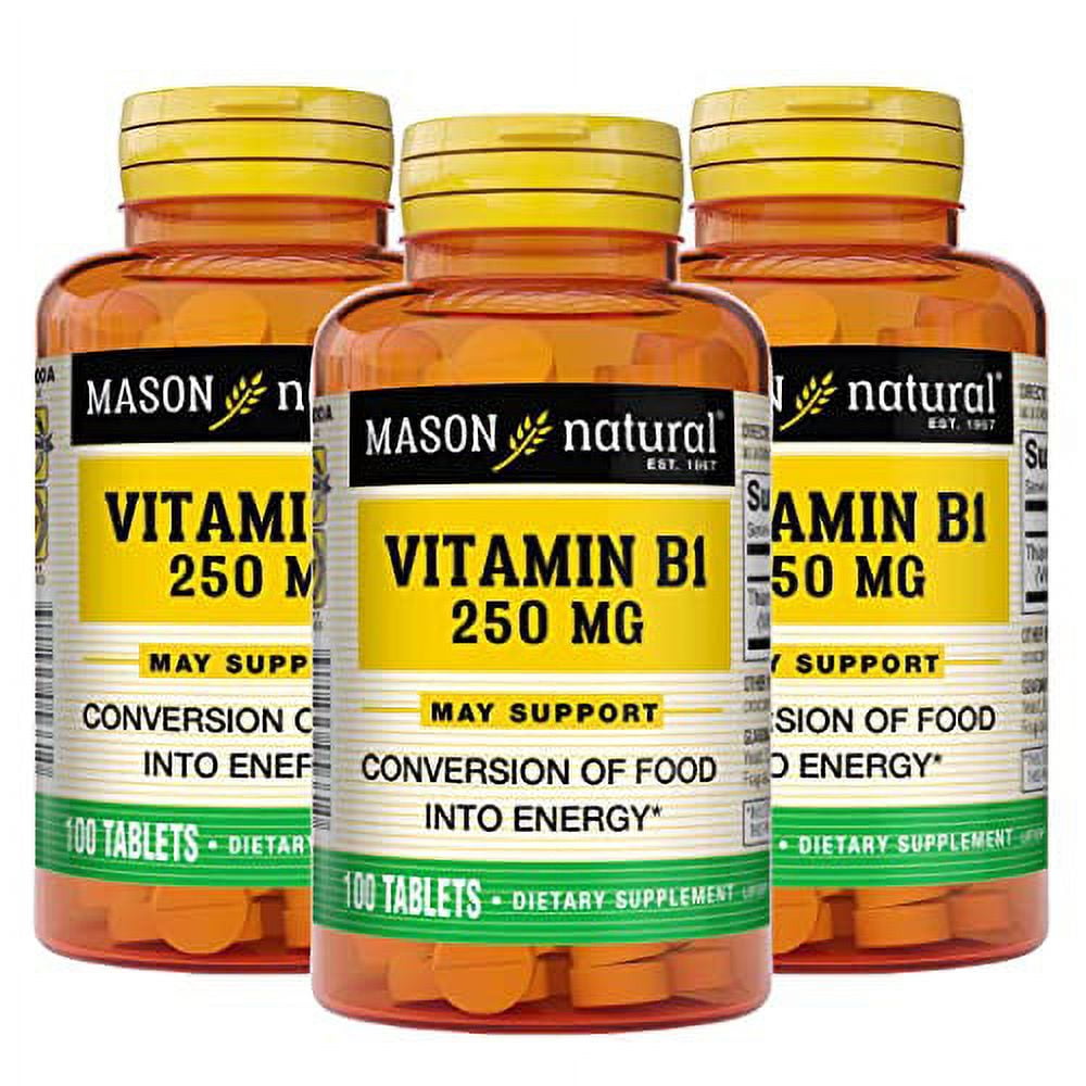 Mason Natural Vitamin B1 (Thiamin) 250 mg - Healthy Conversion of Food ...