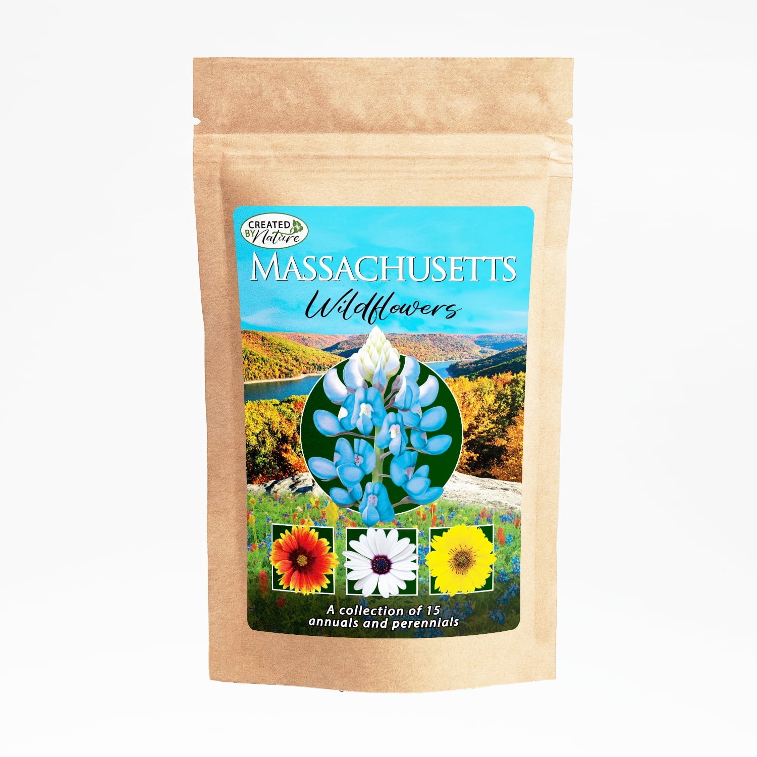 Created By Nature Massachusetts Wildflower Seed Mix, 15 Flower ...