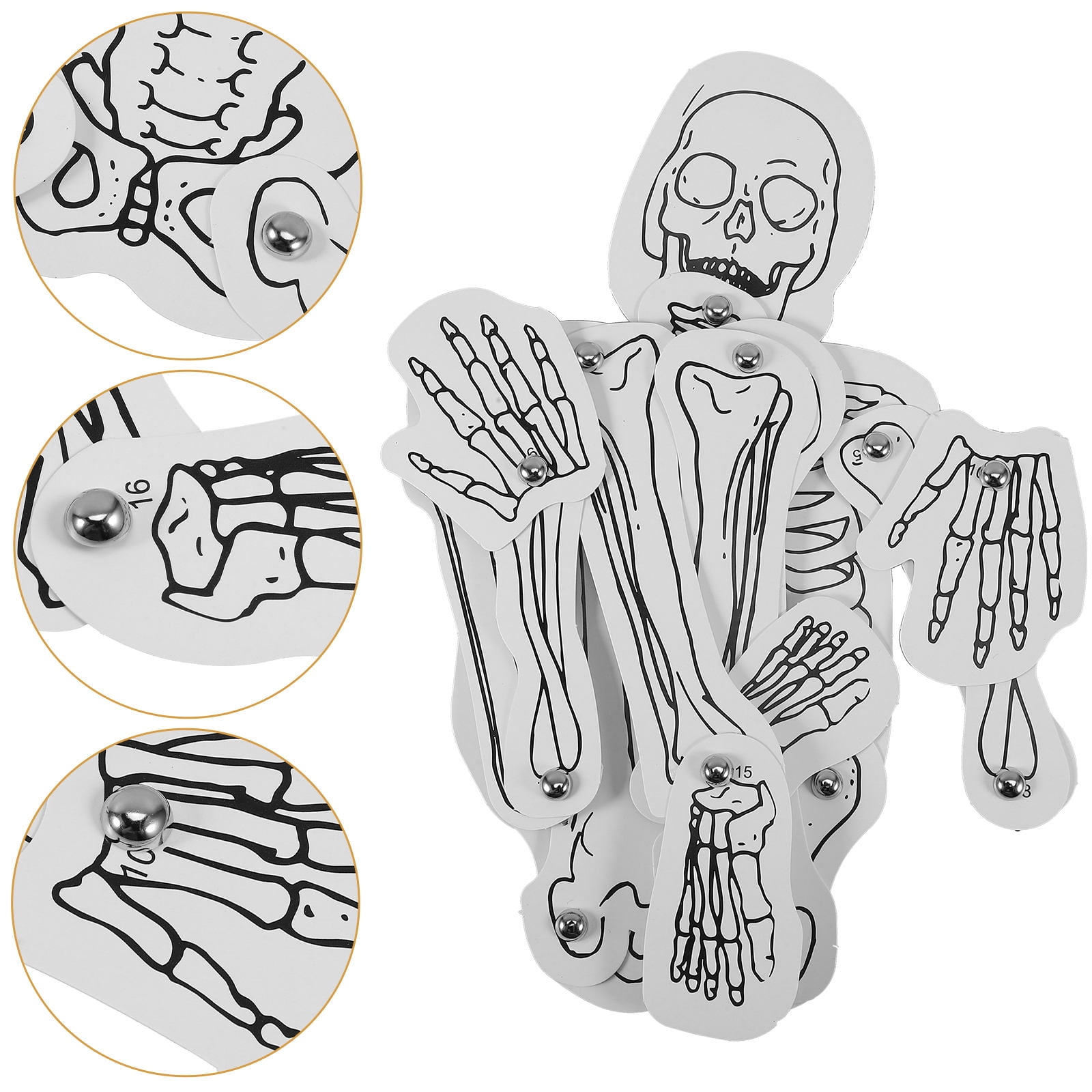 Masteelf 1 Bag of Diy Human Skeleton Human Skeleton Model Human ...