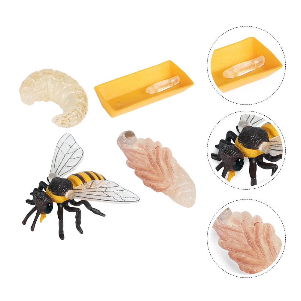 Masteelf 1 Set/4pcs Simulation Cycle Model Bee Cognitive Model Toys for ...
