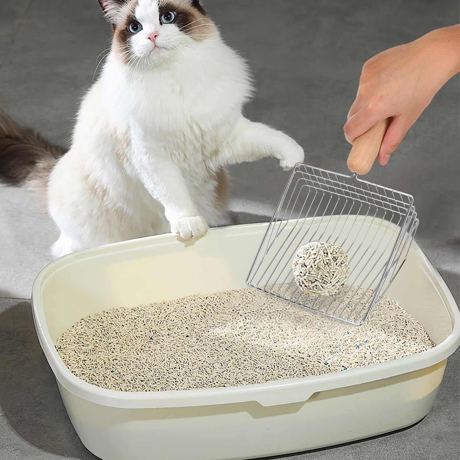 Masteelf 1 Set Cat Litter Scoop with Metal Wire and Wood Handle Deep ...