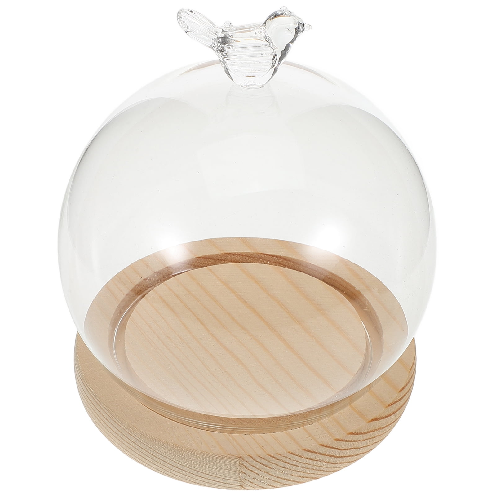 Masteelf 1 Set Glass Display Dome Cloche With Wood Base Display Dome ...