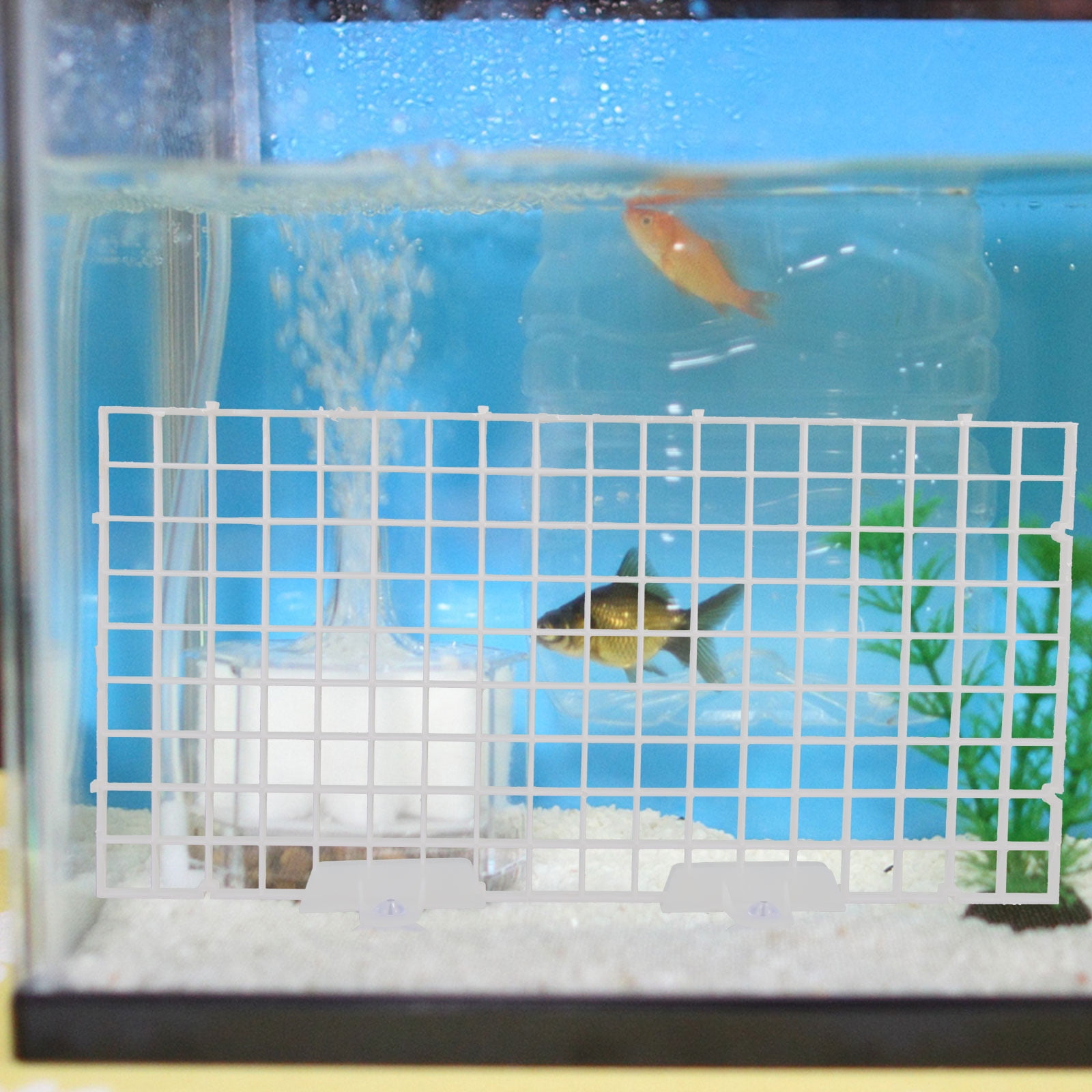 Masteelf 1 Set of Fish Breeding Divider Fish Tank Isolation Board Fish ...