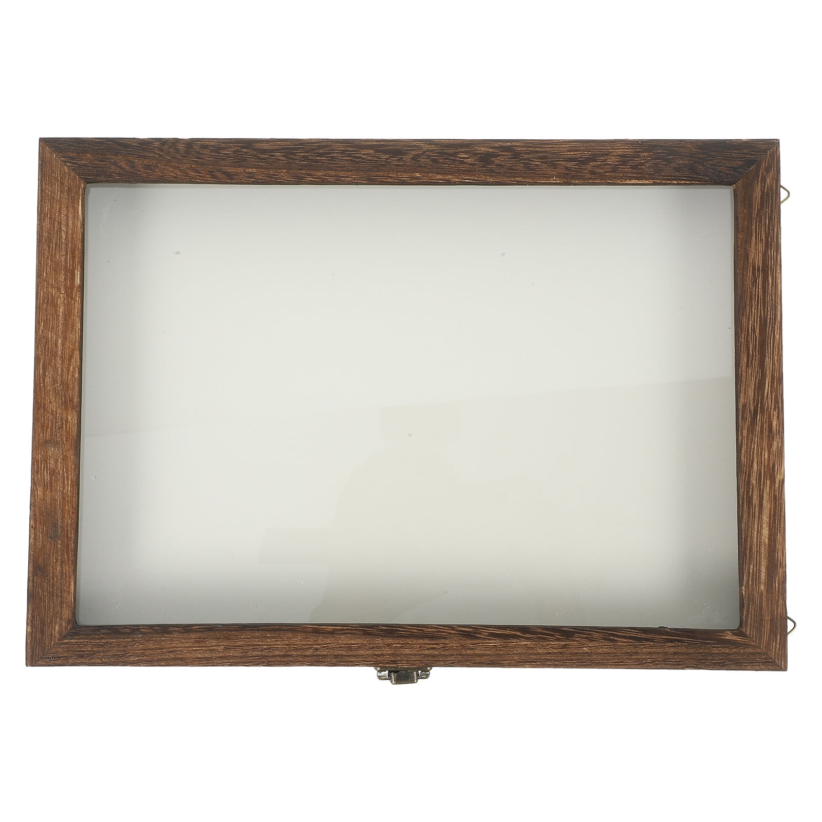 Masteelf 1 Set of Insect Display Box Wall Mount Bug Display Case ...