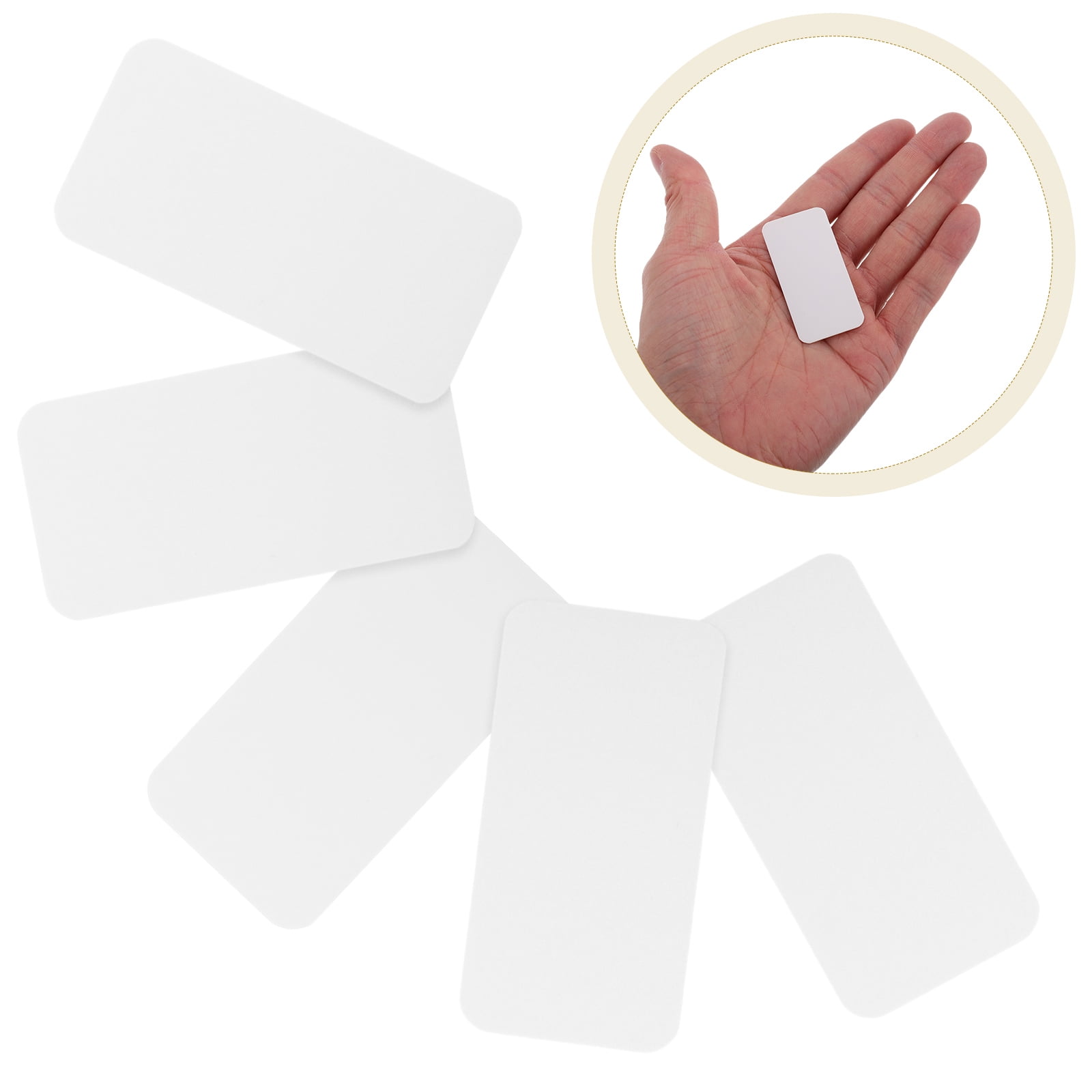 Masteelf 100pcs Insect Preservation Tools Entomology Lab Display Cards ...