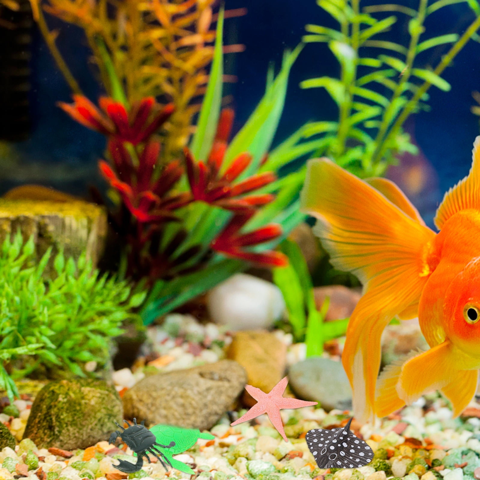 Masteelf 12 Pcs Simulation Marine Animal Models Realistic Fish Figures ...