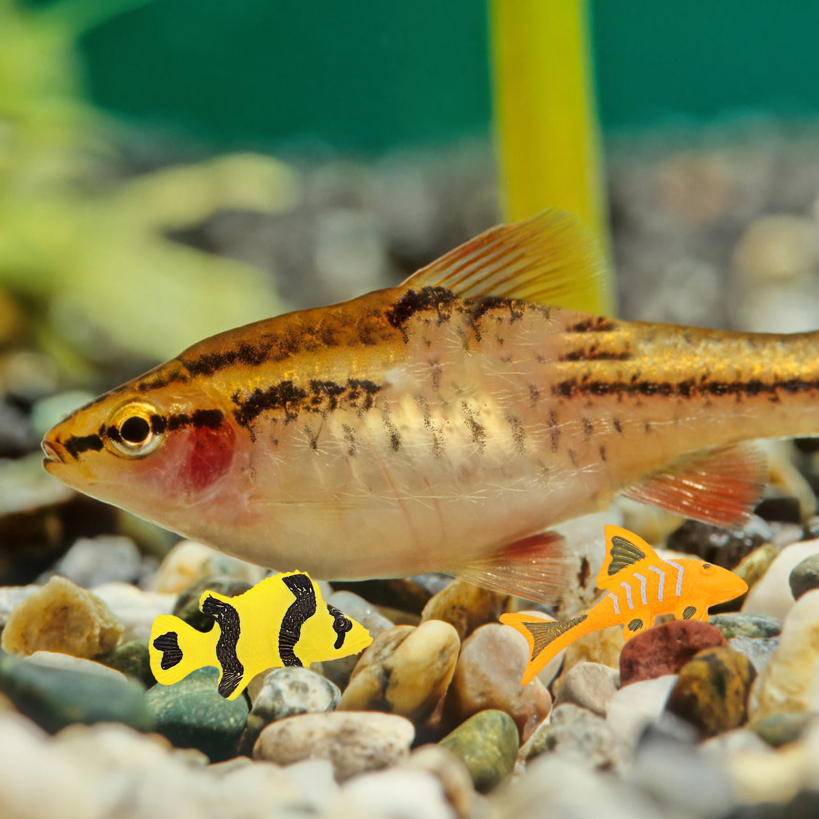 Masteelf 12pcs Small Plastic Fish Vivid Aquarium Decor Miniature Sea ...