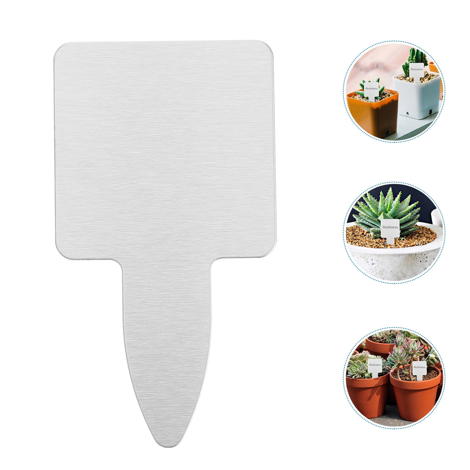 Masteelf 1Set Garden Name Tags for Home and Commercial Gardens with ...