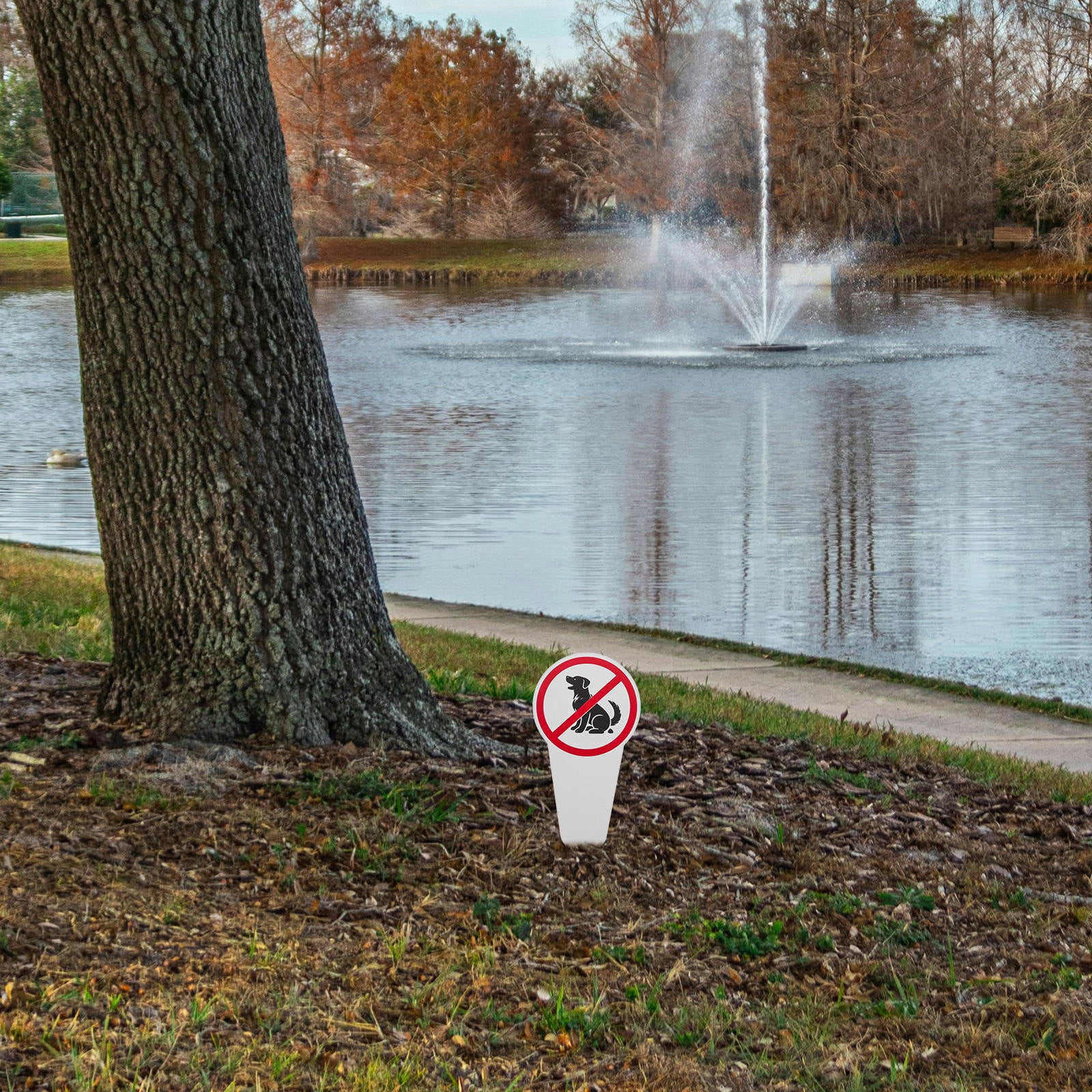 Masteelf 2 Pcs No Pooping Yard Sign Stake No Dog Allowed Poop Spike ...