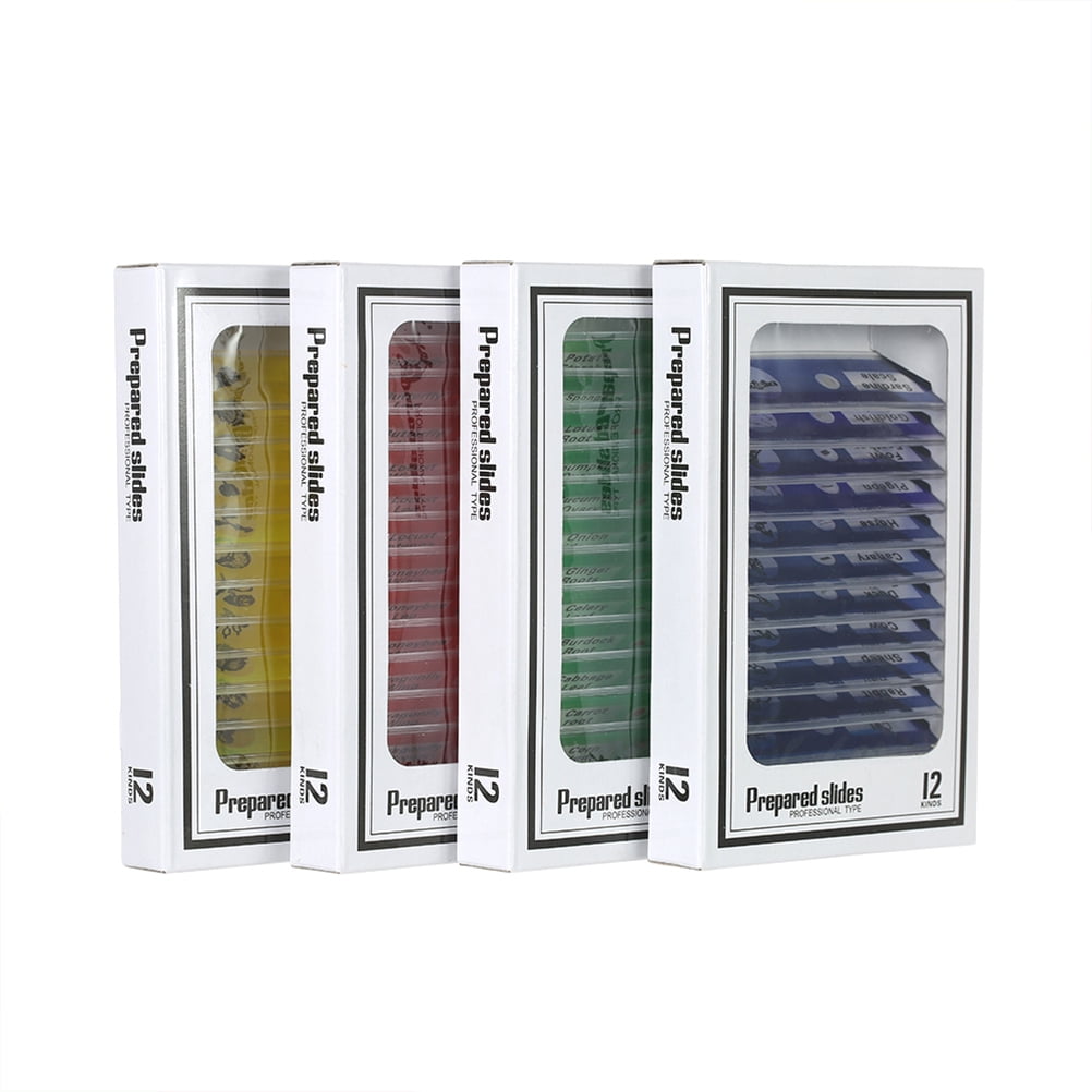 Masteelf 24Pcs Microscope Slide Children's Plastic Biological Slide ...