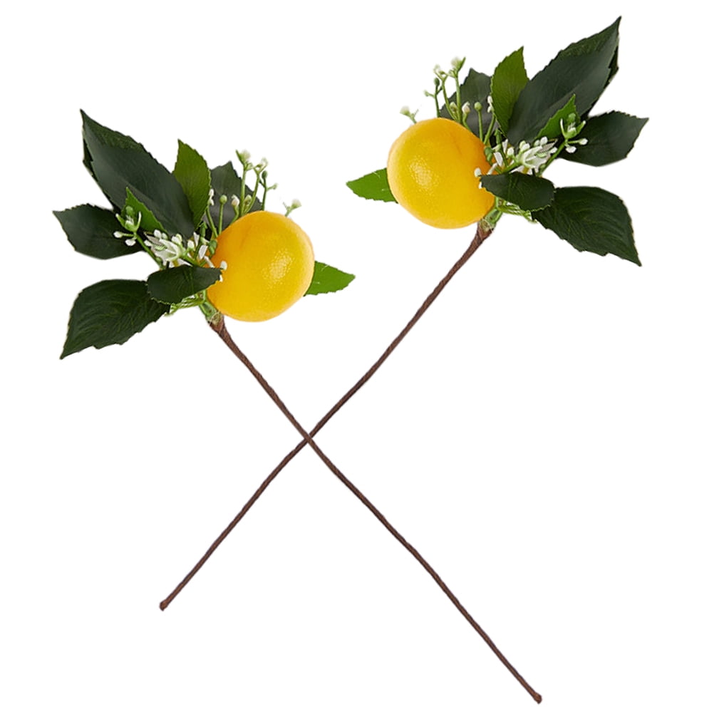 IDEANATEGRATE Artificial Lemon Plants Plastic 2Pcs 10.2X5.1X5.1In ...