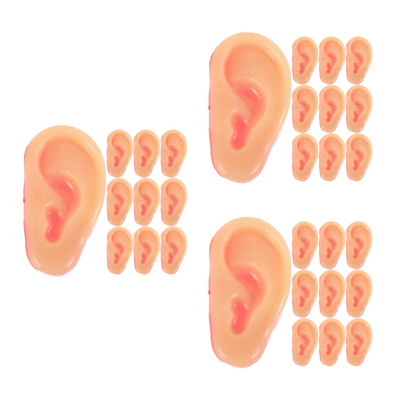 Masteelf 30 pcs Realistic Fake Ear Model Simulation Ear Models Fool's ...