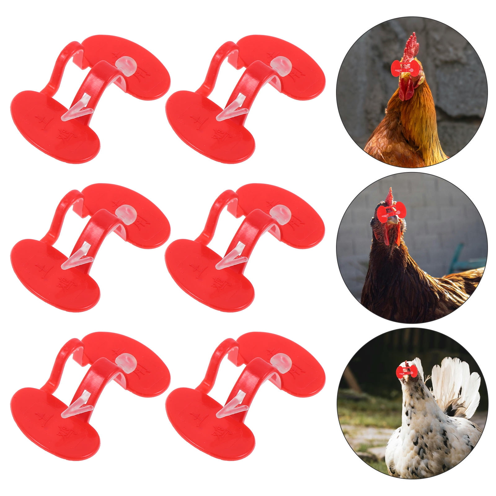 Masteelf 300 Pieces Chicken Eye Glasses Pinless Peepers Poultry ...