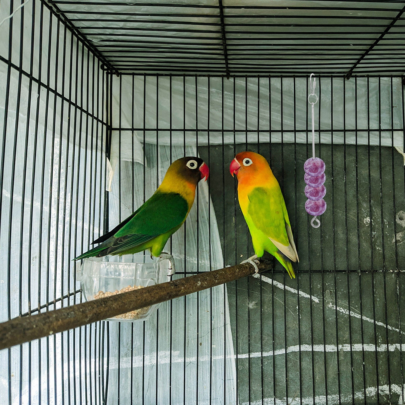 Masteelf 3PCS Hanging Stainless Steel Bird Treat Feeders Bird Cage Food ...