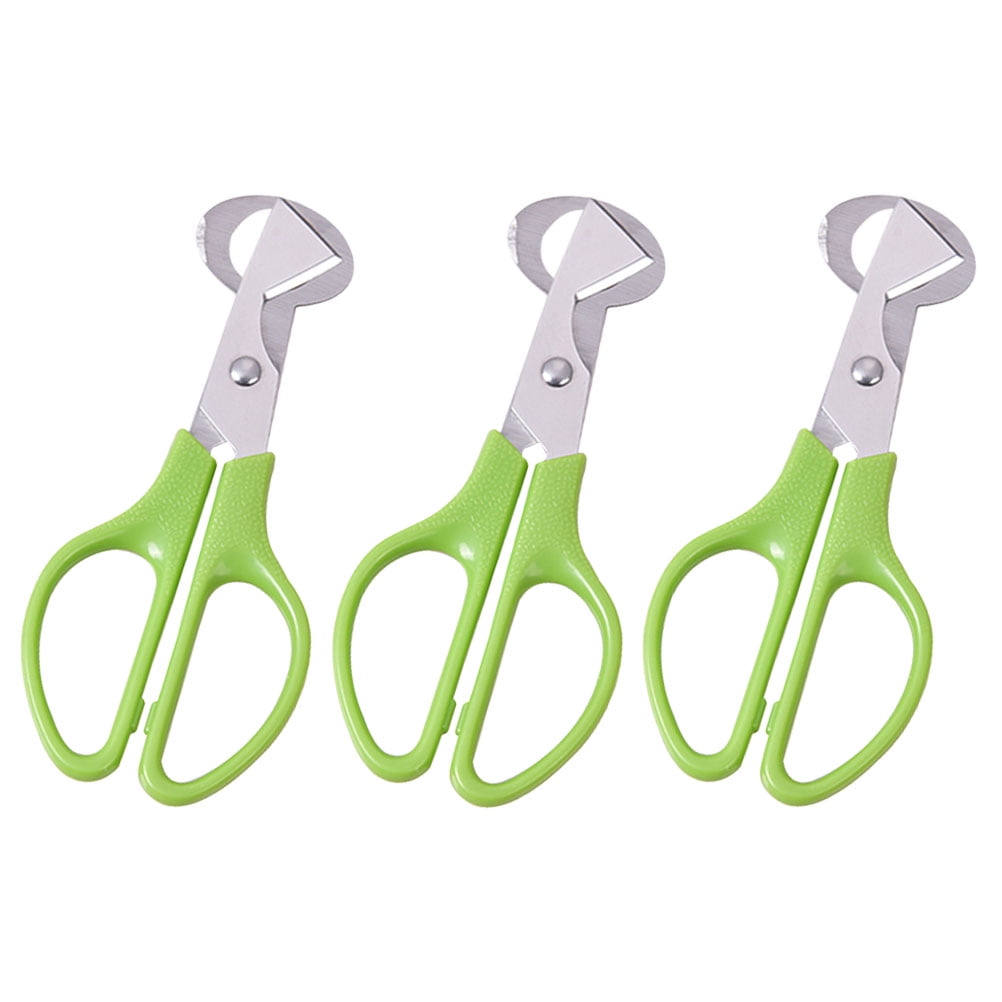 Masteelf 3Pcs Quail Egg Scissors Portable Pigeon Egg Scissor Egg Shell ...