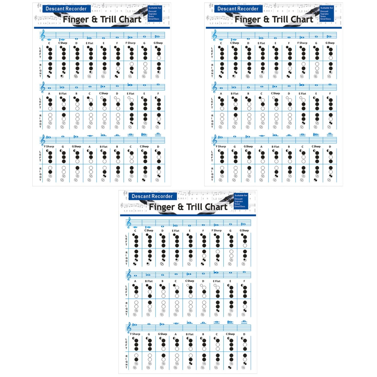 Masteelf 3pcs Flute Chord Chart Flute Practice Chord Chart for Beginner ...