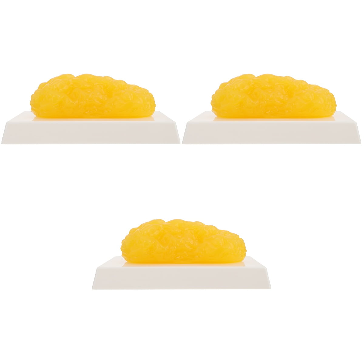 Masteelf 3pcs Human Replica 1 Pound Fat Model Fat Anatomical Fat Model ...